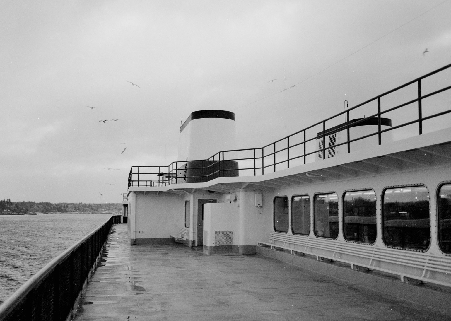 Black & White, Color Chemistry: My Time with BW400CN – Anderson Island ...