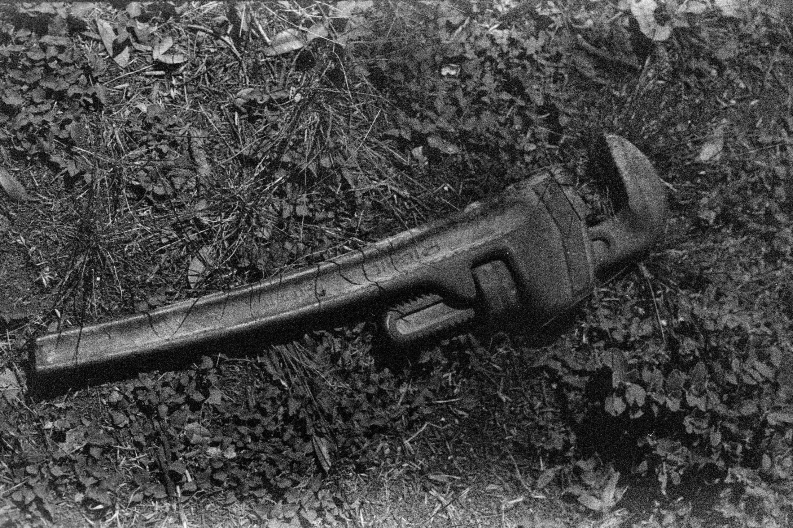 Ultra Grainy 35mm B&W Negative Film – 24 Exposures for Experimental ...