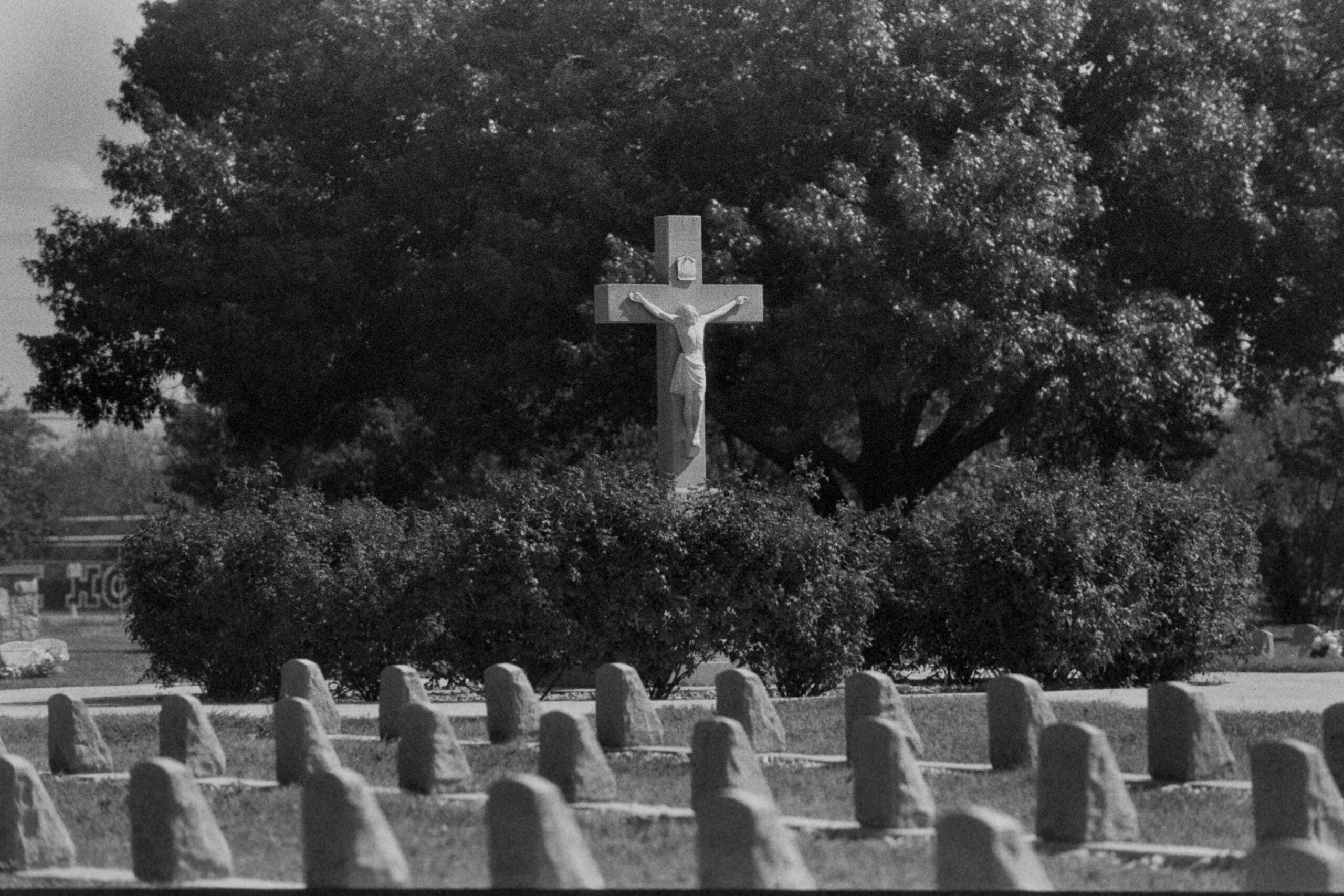 Ultra Grainy 35mm B&W Negative Film – 24 Exposures for Experimental ...